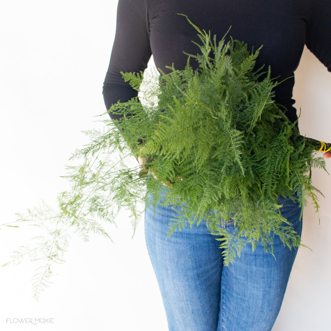 Plumosa Fern Greenery | DIY Wedding Flowers | Flower Moxie