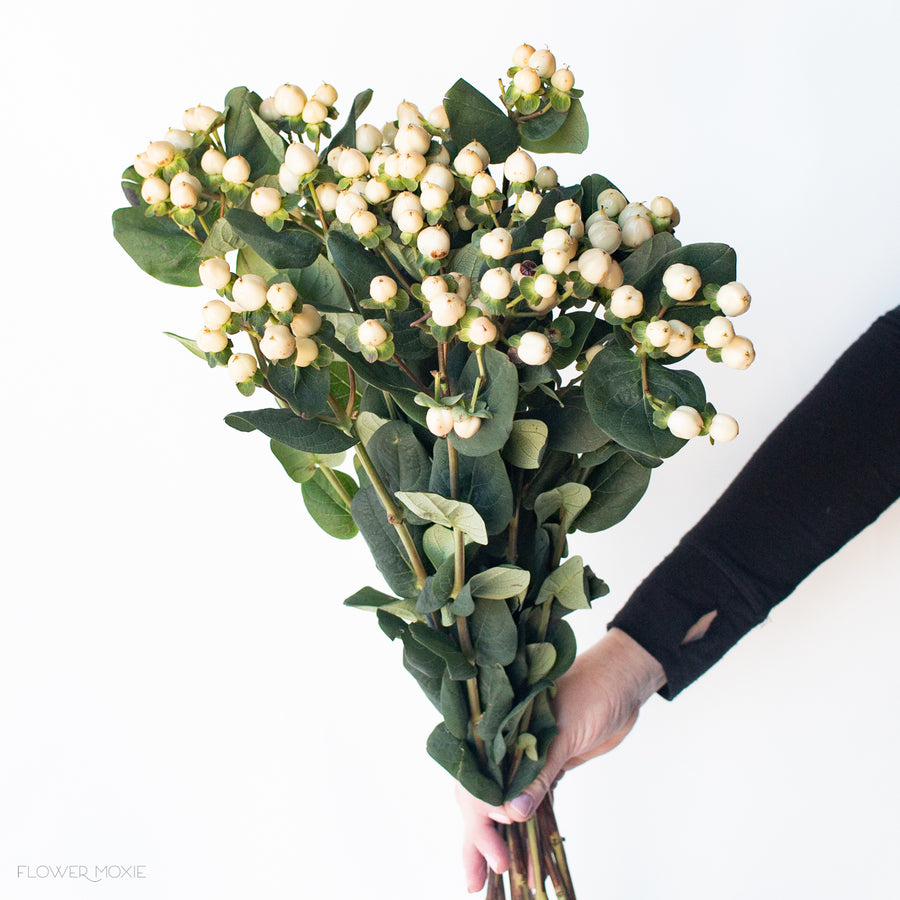 Cream Hypericum Berries | DIY Wedding Flowers | Flower Moxie