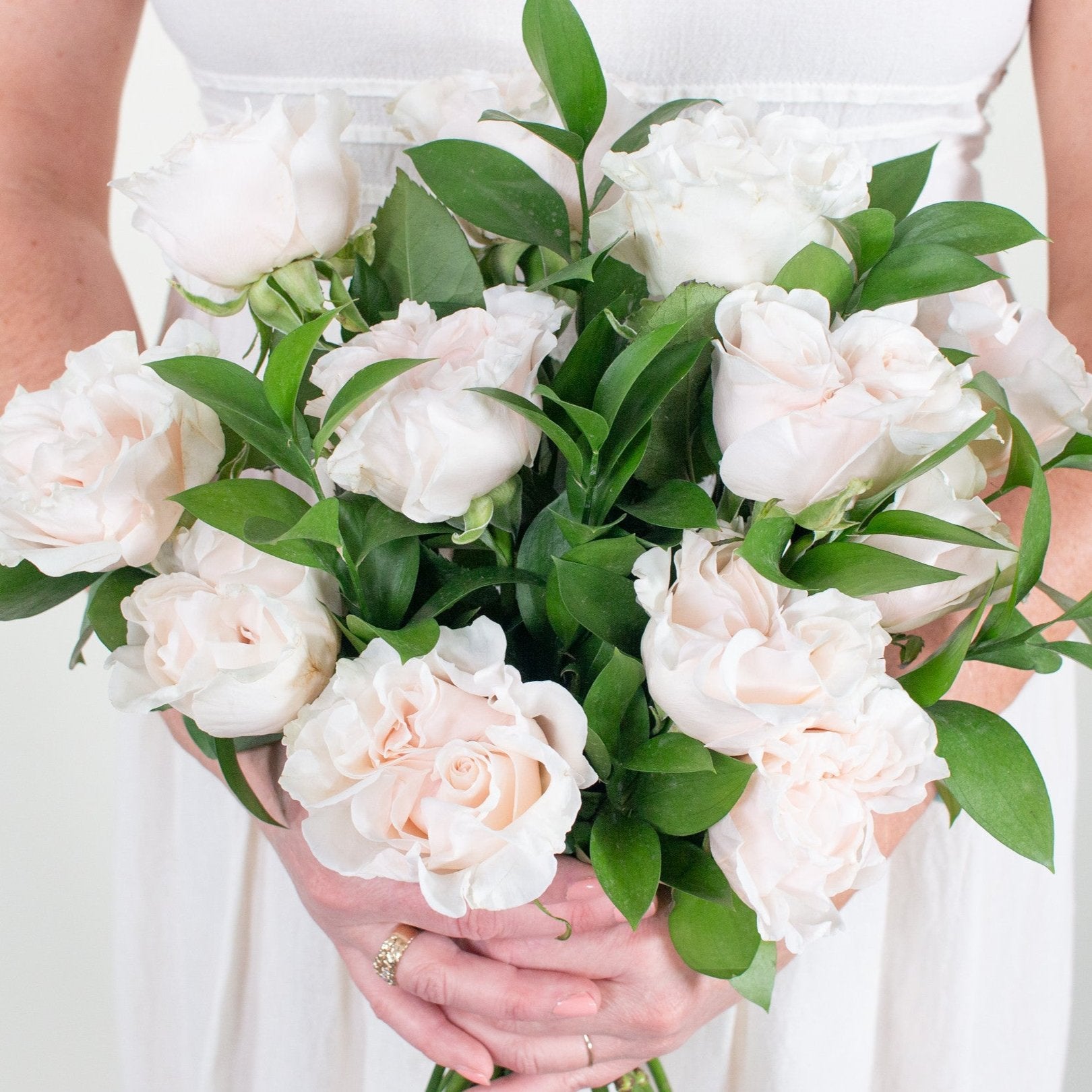 Blush Cotton Xpression Garden Rose | DIY Wedding Flowers | Flower Moxie