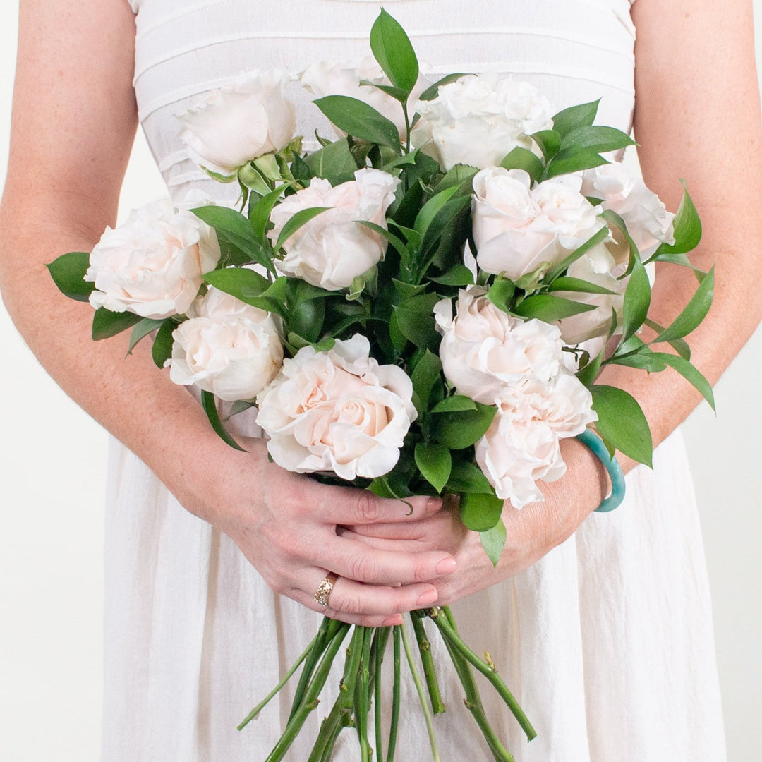Blush Cotton Xpression Garden Rose | DIY Wedding Flowers | Flower Moxie