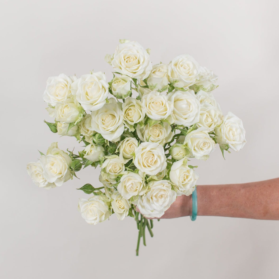 Spray Roses | Bulk Fresh Spray Roses Online – Flower Moxie