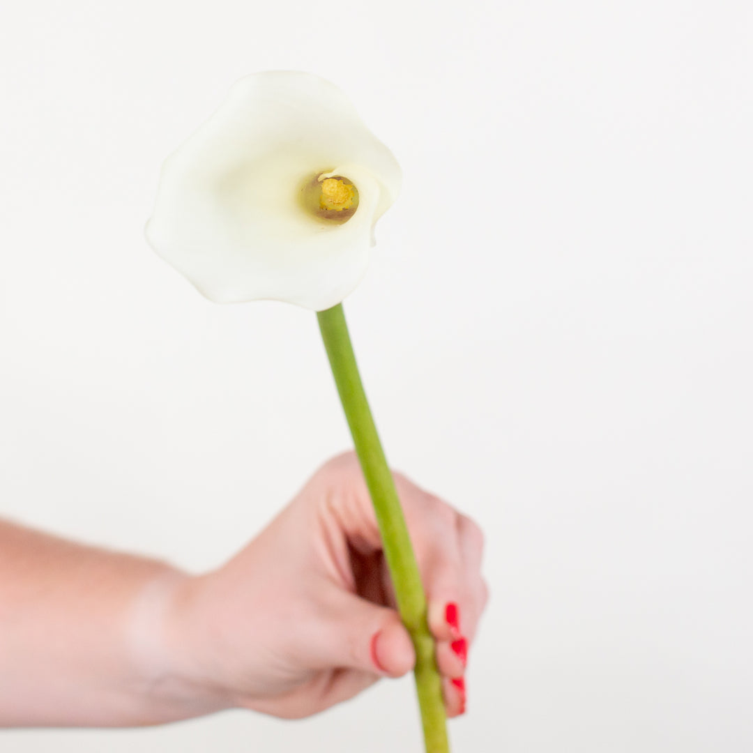 White Mini Calla Lily | Fresh DIY Wedding Flowers | Flower Moxie