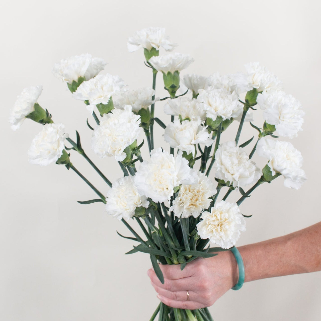Carnations | Bulk Fresh Wedding Flowers Online – Flower Moxie