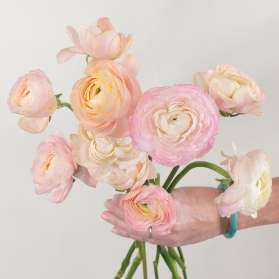 Peach Ranunculus | Bulk Fresh DIY Wedding Flowers | Flower Moxie