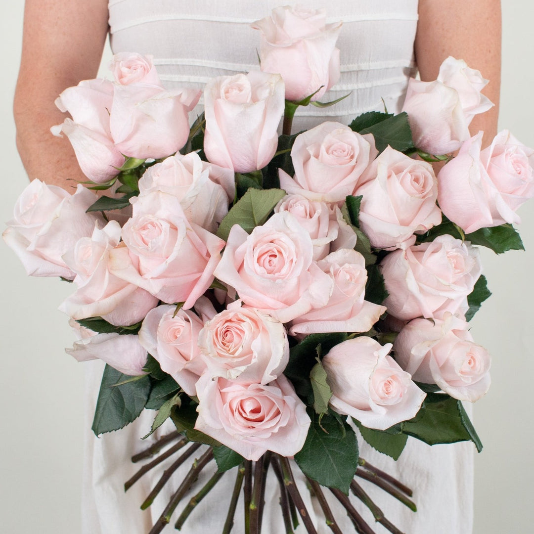 Blush Poma Rosa Rose | DIY Wedding Flowers | Flower Moxie