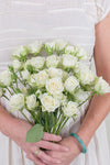 White and Cream Spray Roses | Bulk Wedding Flowers - Flower Moxie
