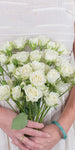 White and Cream Spray Roses | Bulk Wedding Flowers - Flower Moxie