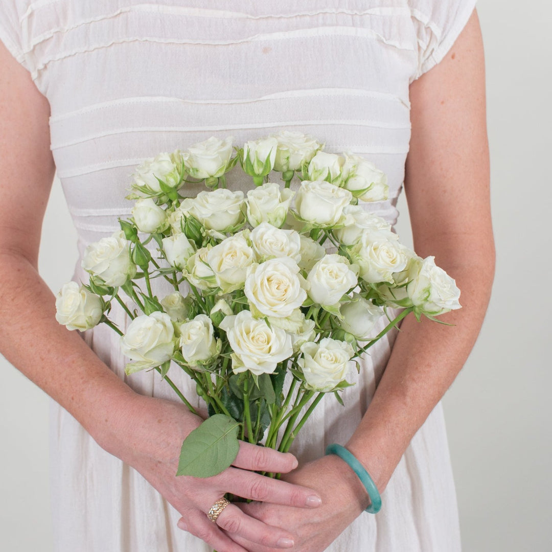 White and Cream Spray Roses | Bulk Wedding Flowers - Flower Moxie