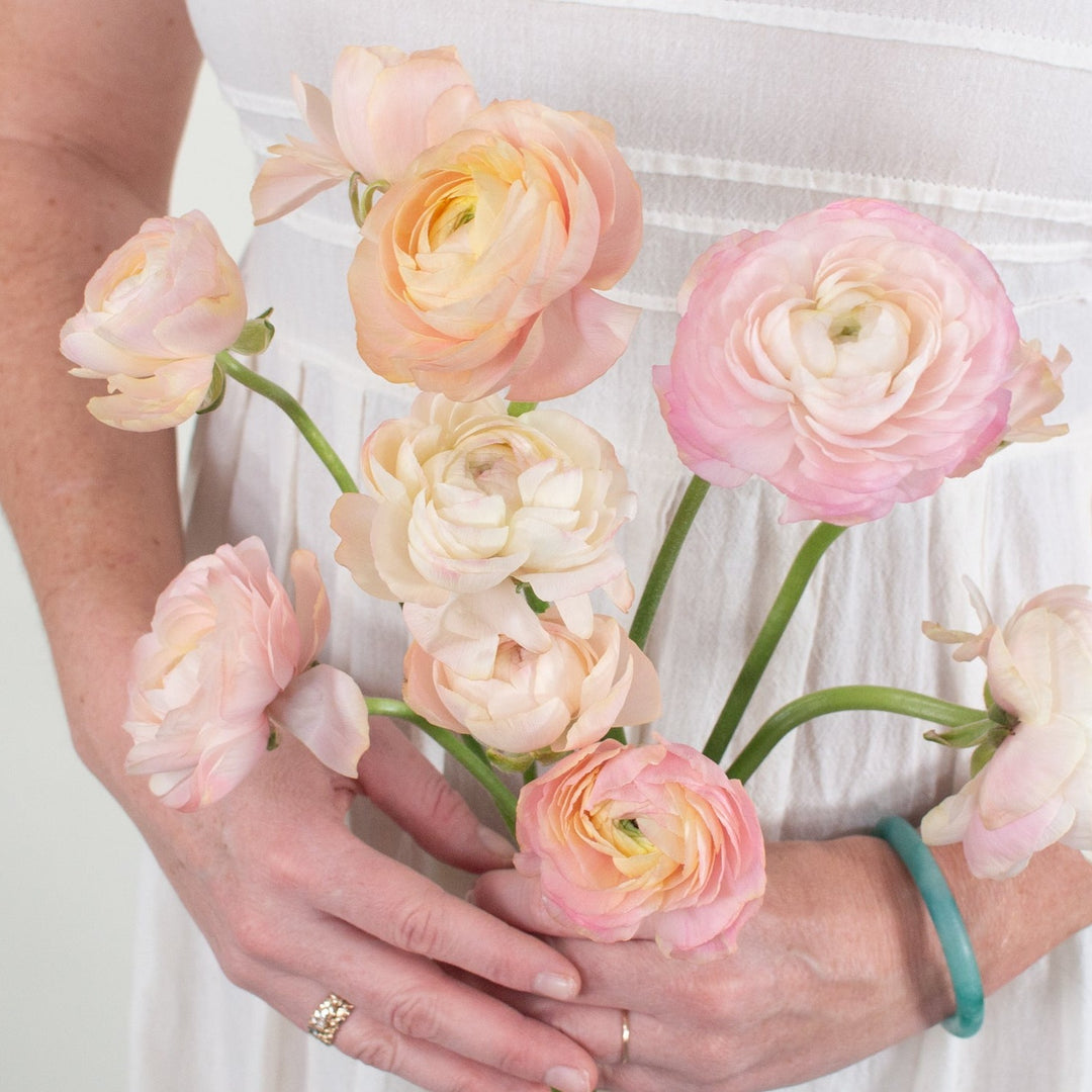 Peach Ranunculus | Bulk Fresh DIY Wedding Flowers | Flower Moxie