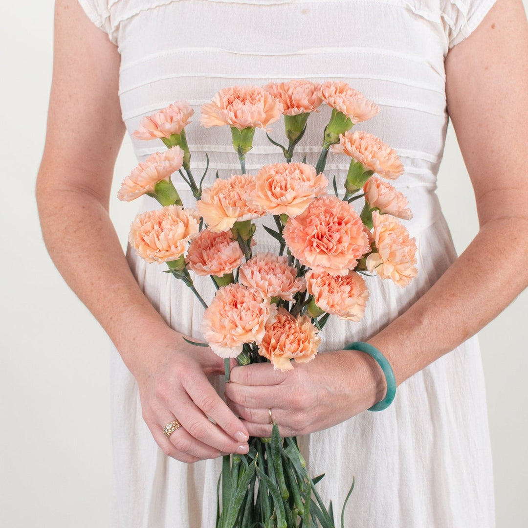 Peach Carnations | Bulk Fresh DIY Wedding Flowers | Flower Moxie