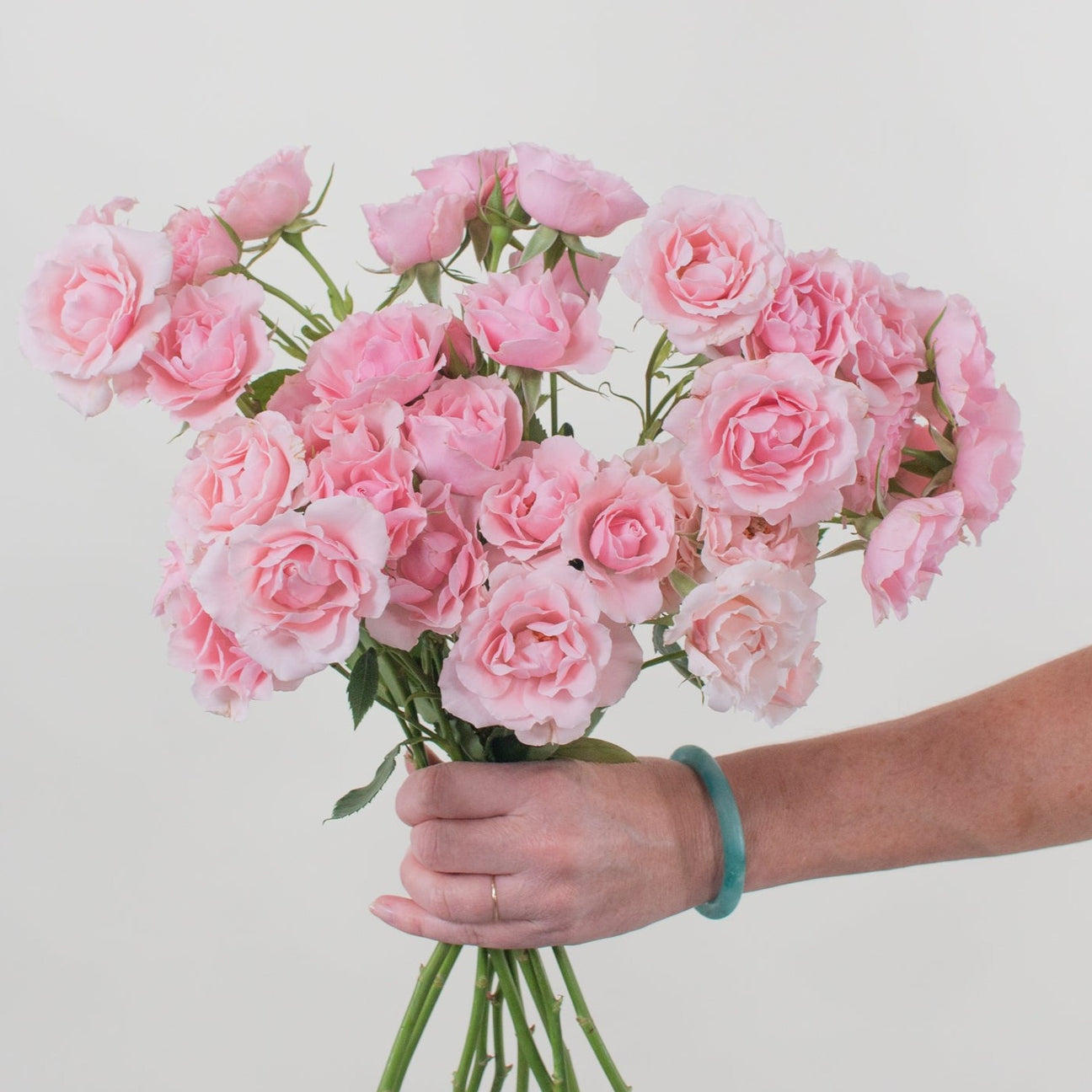 Light Pink Spray Rose Flower | DIY Wedding Flowers | Flower Moxie