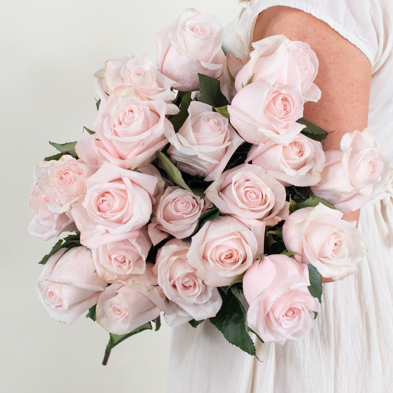 Blush Poma Rosa Rose | DIY Wedding Flowers | Flower Moxie