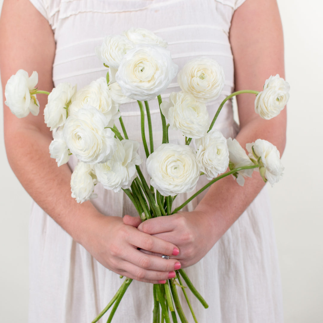 White Ranunculus Flowers | Fresh Wedding Flowers | Flower Moxie