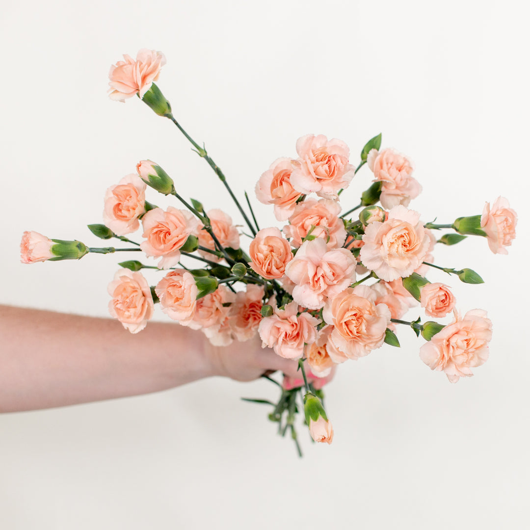 Peach Mini Carnation Flower | DIY Wedding Flowers | Flower Moxie