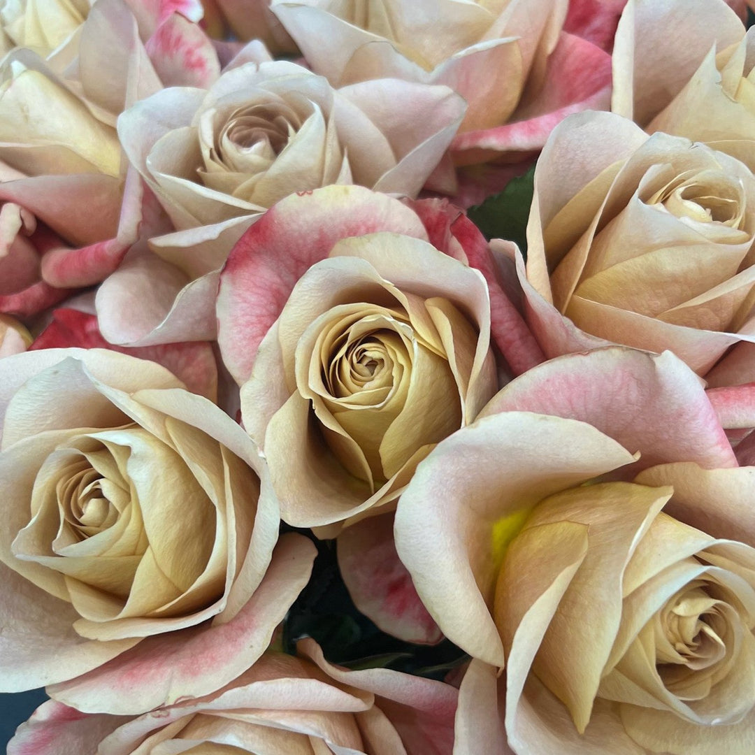 Golden Symbol Roses | DIY Wedding Flowers | Flower Moxie