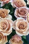 Dusty Terracotta Moab Roses | DIY Wedding Flowers | Flower Moxie