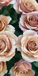 Dusty Terracotta Moab Roses | DIY Wedding Flowers | Flower Moxie