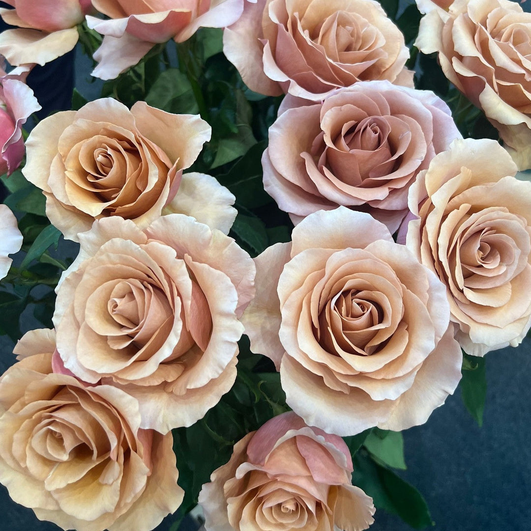 Dusty Terracotta Moab Roses | DIY Wedding Flowers | Flower Moxie