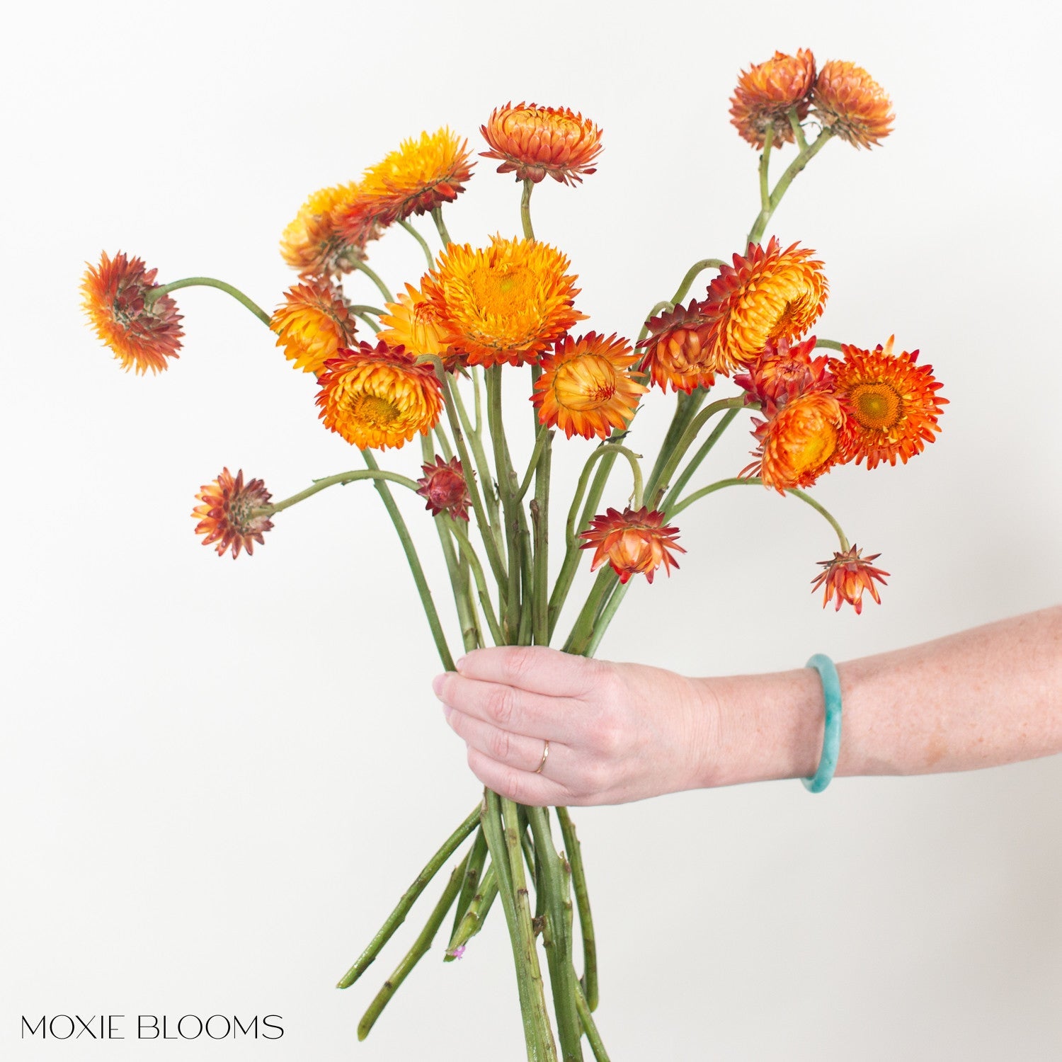 Orange Strawflower - DIY Flowers & Free Shipping | Flower Moxie