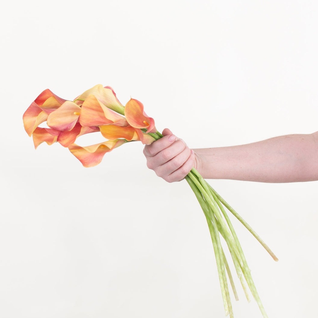 Mini Calla Lily Flower | DIY Wedding Flowers – Flower Moxie