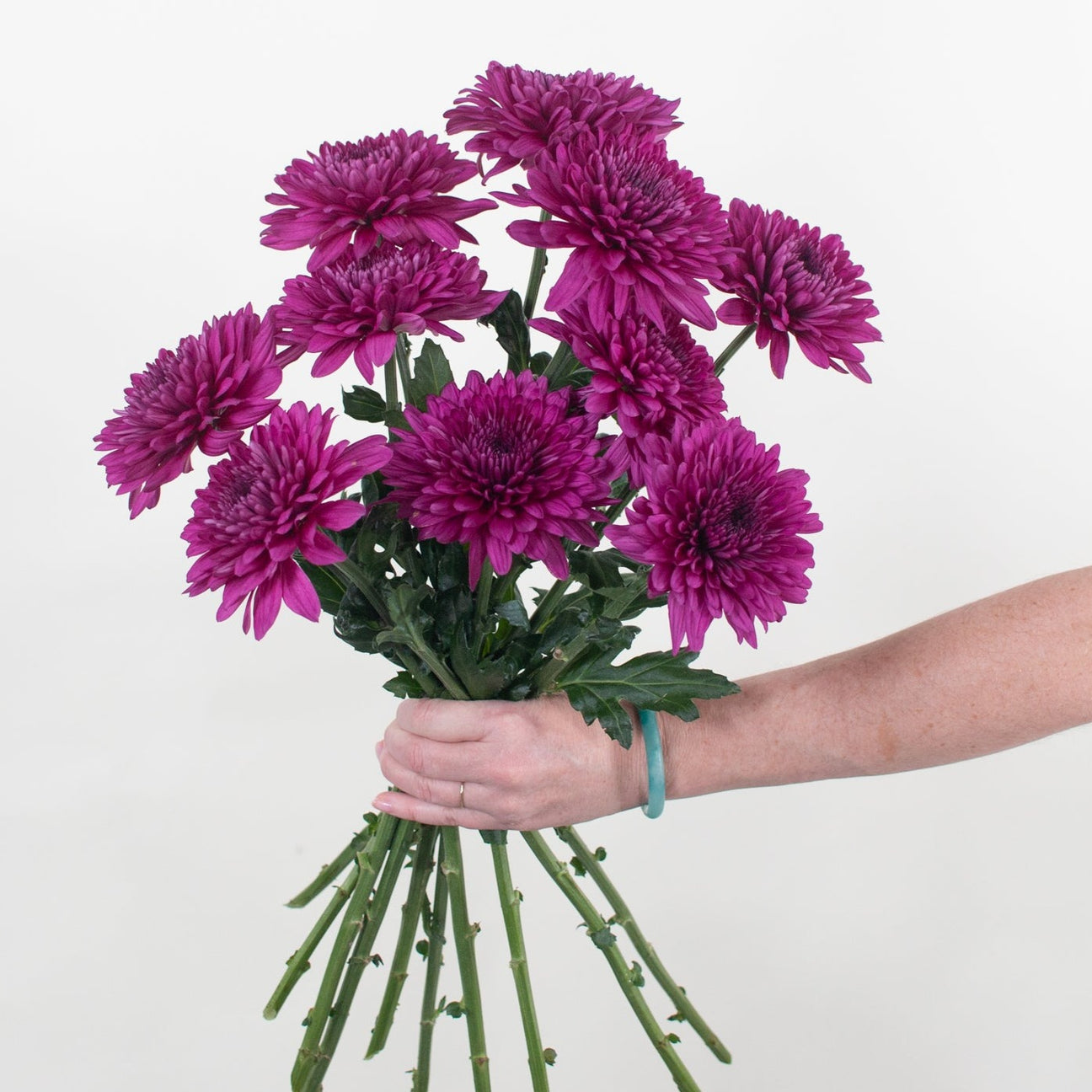 Purple Cremone Flower | DIY Wedding Flowers | Flower Moxie