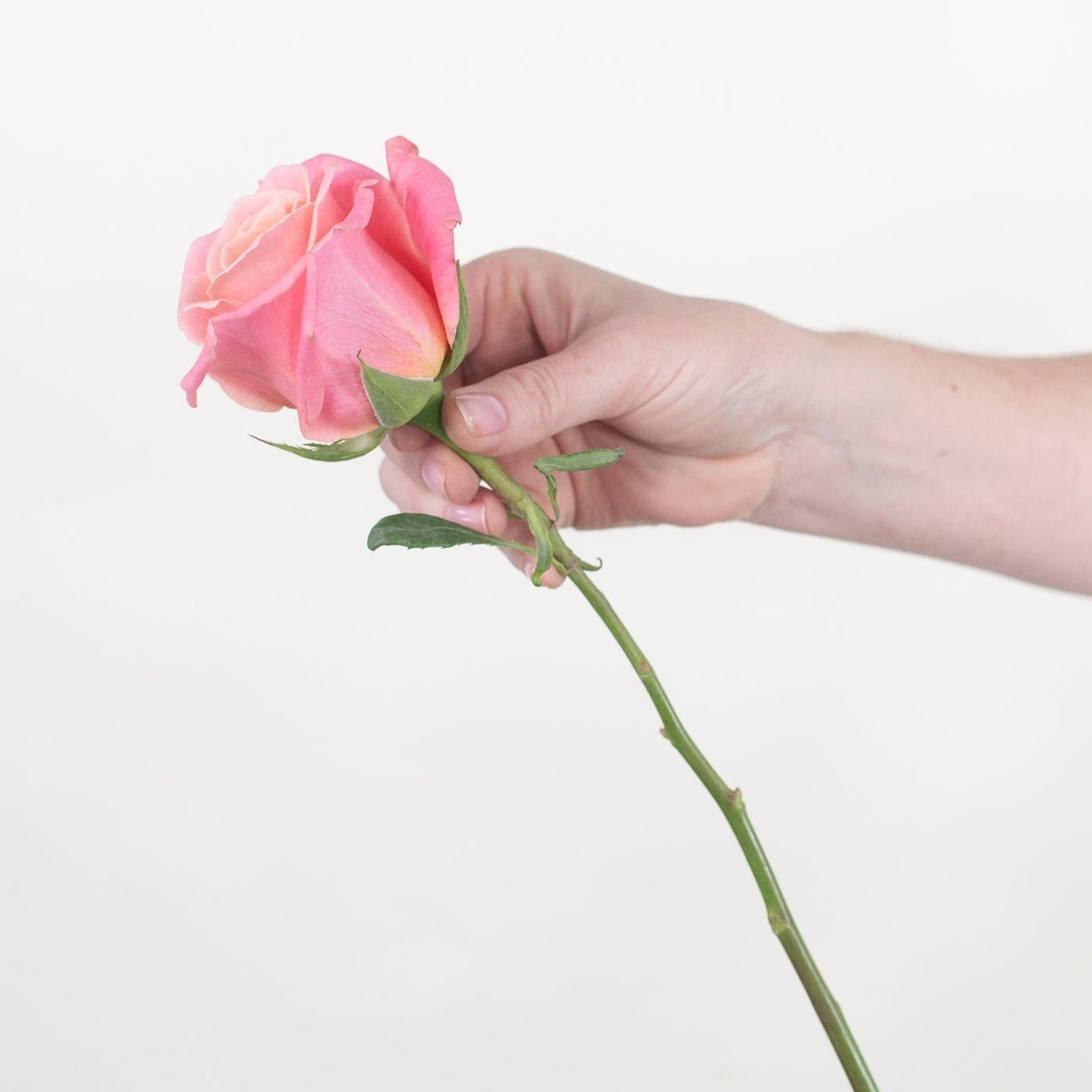 Coral Miss Piggy Roses | Fresh DIY Wedding Flowers | Flower Moxie
