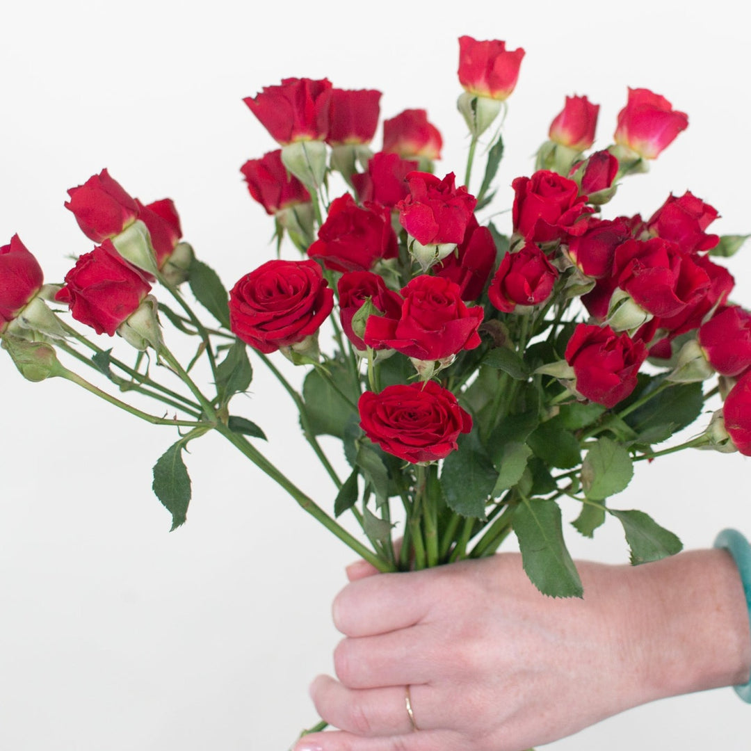 Red Spray Rose Flower | DIY Wedding Flowers | Flower Moxie