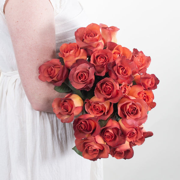 Rust Colored Roses