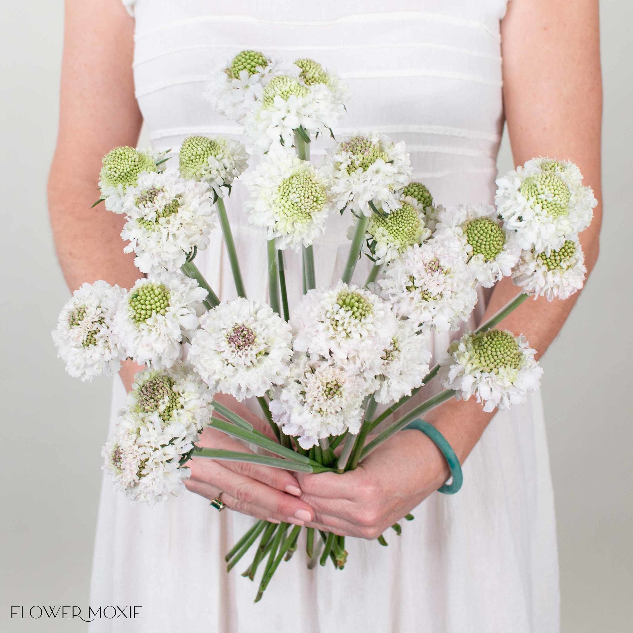 White Scabiosa Flower | DIY Wedding Flowers | Flower Moxie