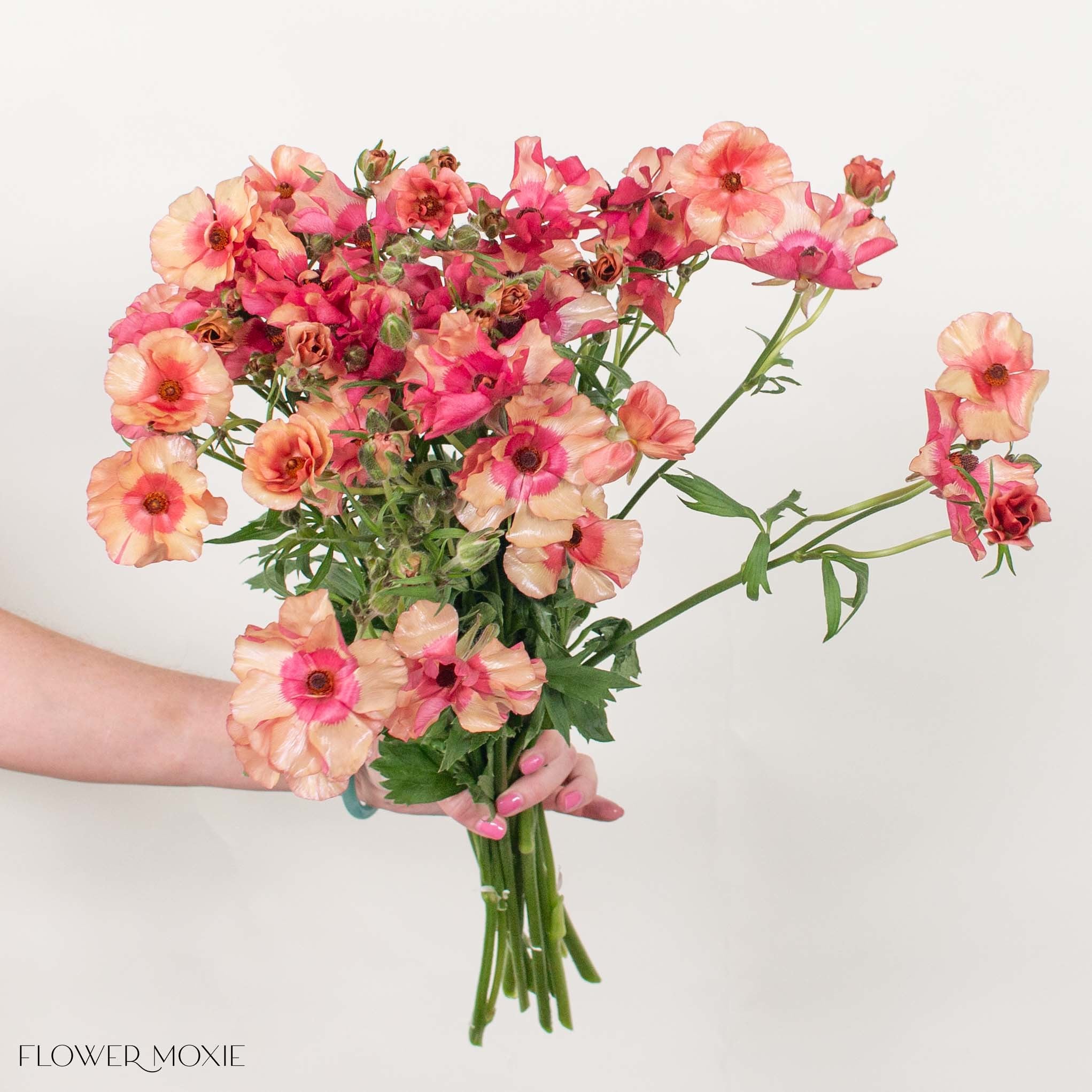 Peachy Pink Butterfly Ranunculus | Flower Moxie DIY Wedding Flowers