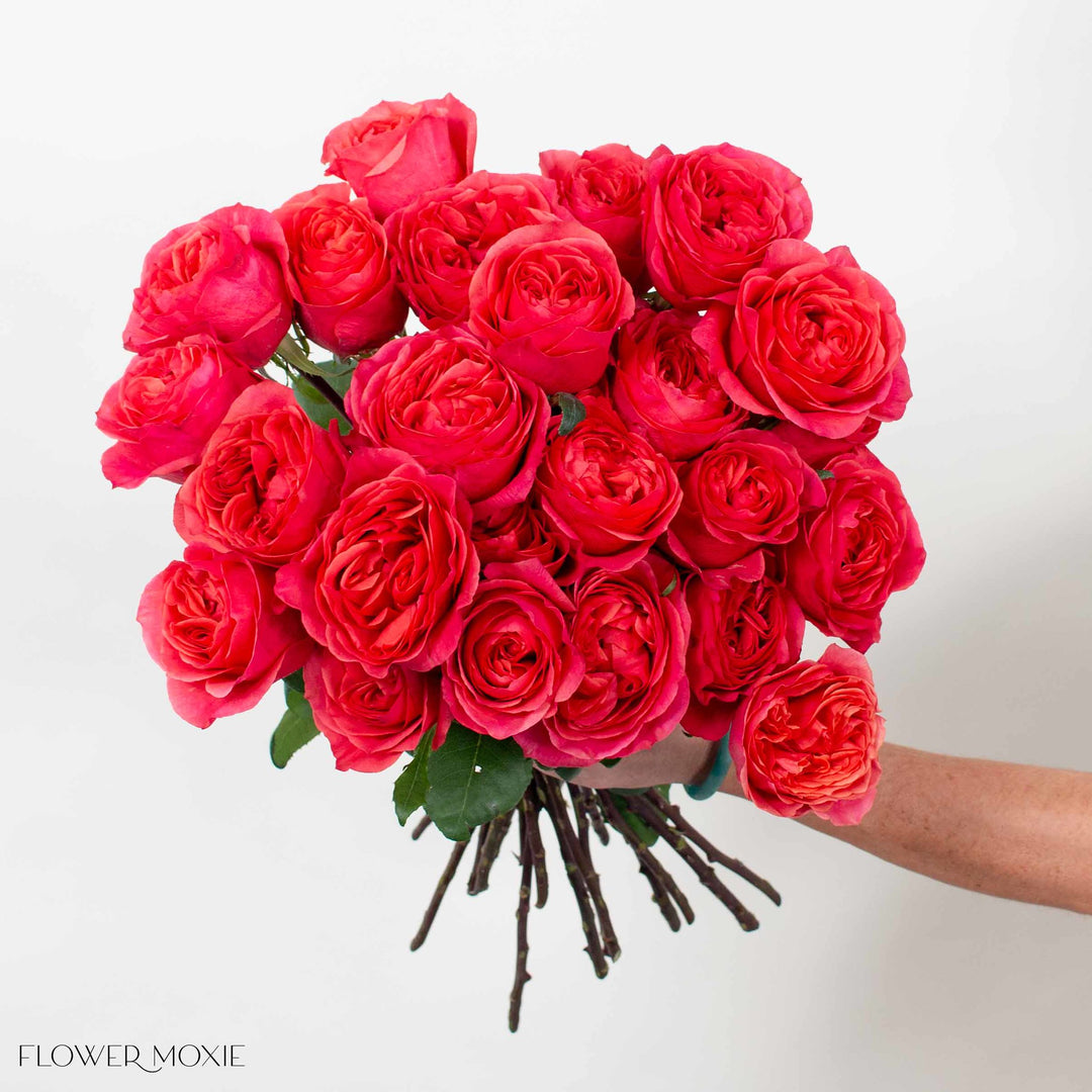 Coral Garden Roses | DIY Wedding Flowers | Flower Moxie