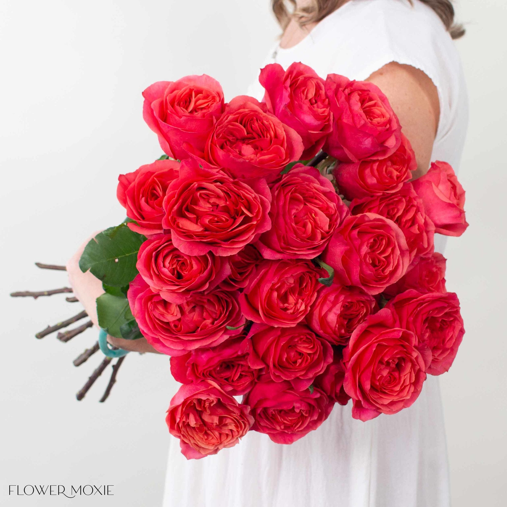 Coral Garden Roses | DIY Wedding Flowers | Flower Moxie