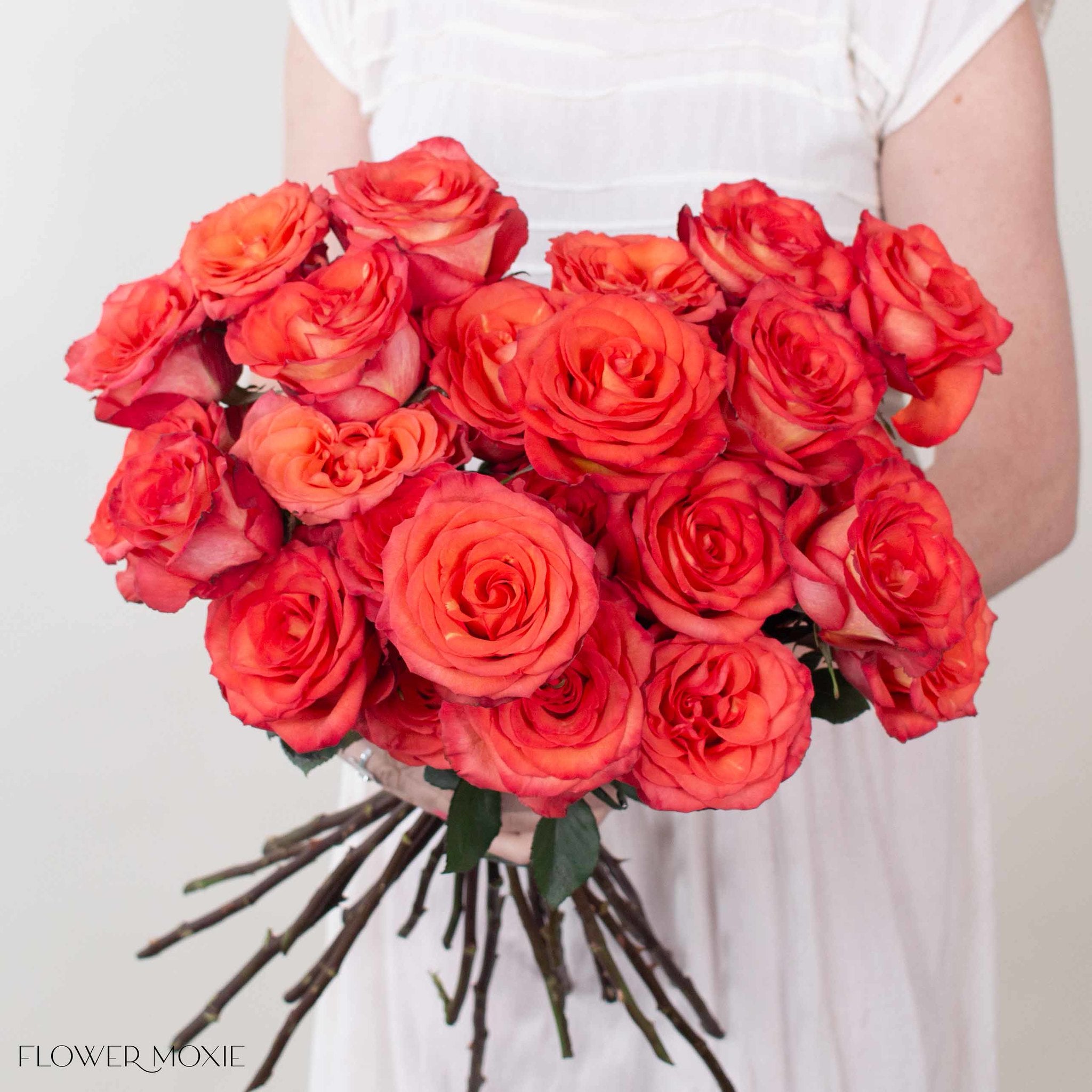 Orange Bicolor Roses | Fresh DIY Wedding Flowers | Flower Moxie