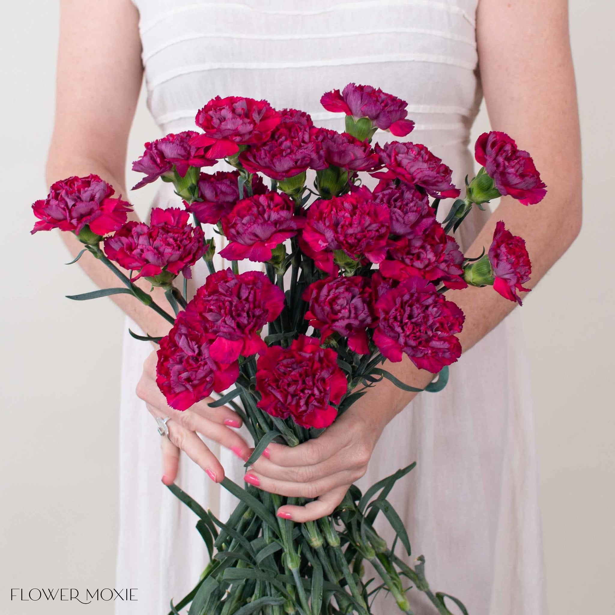 Raspberry Plum Carnation Flower | DIY Wedding Flowers | Flower Moxie