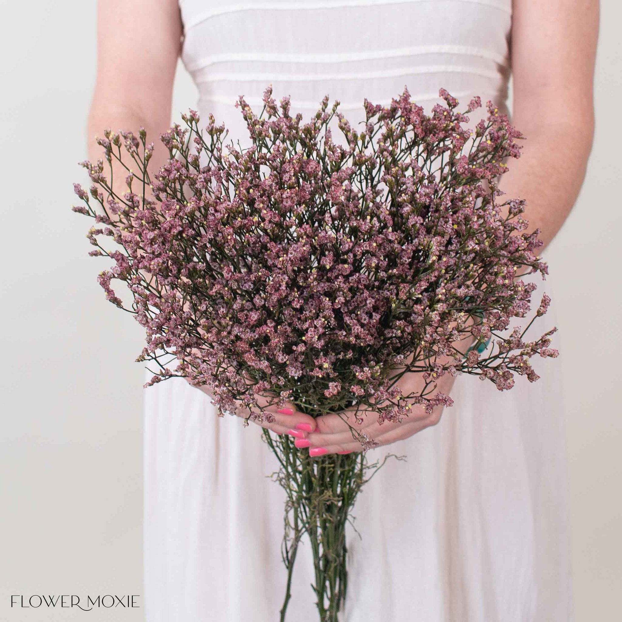 Tinted Mauve Limonium Flower | Wedding Flowers Online | Flower Moxie