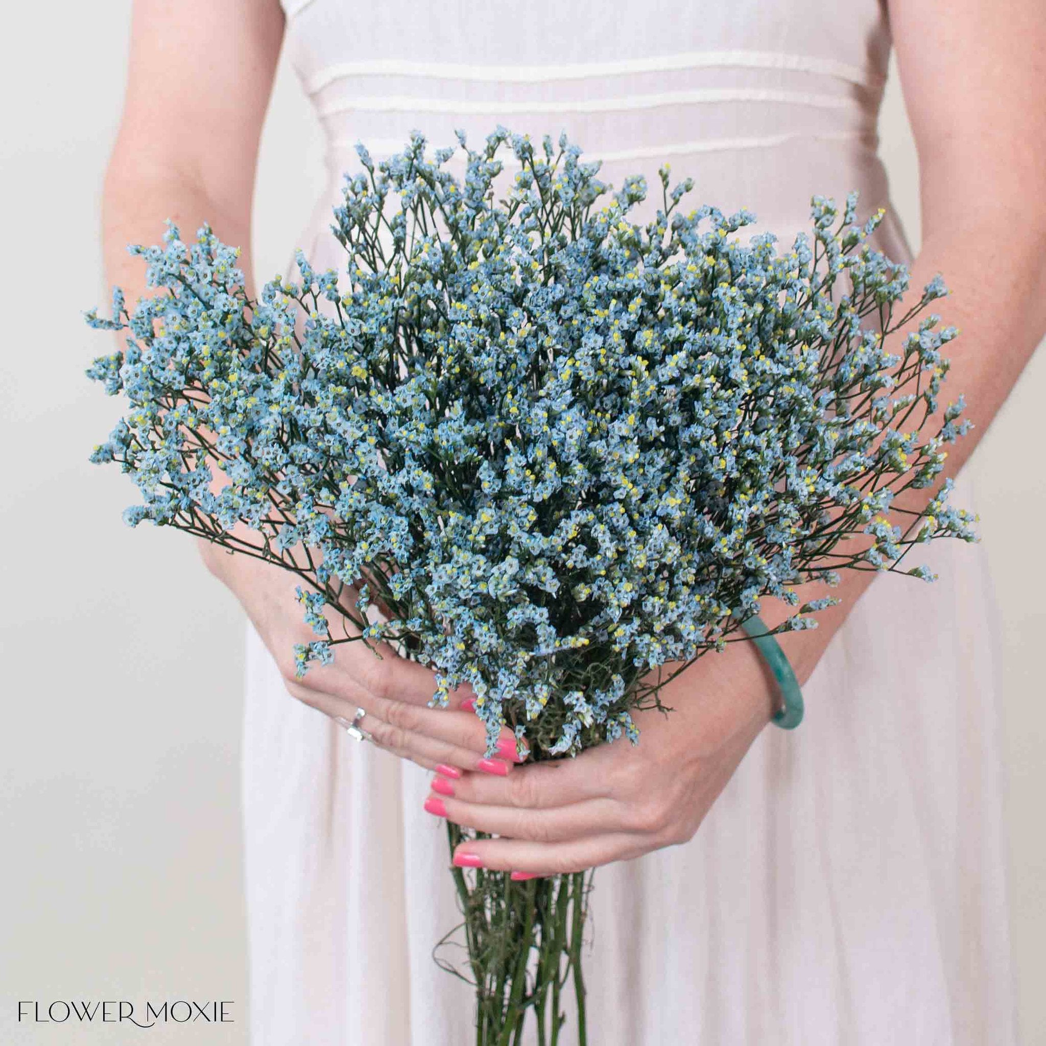 Bulk Tinted Blue Limonium | Wedding Flowers Online | Flower Moxie