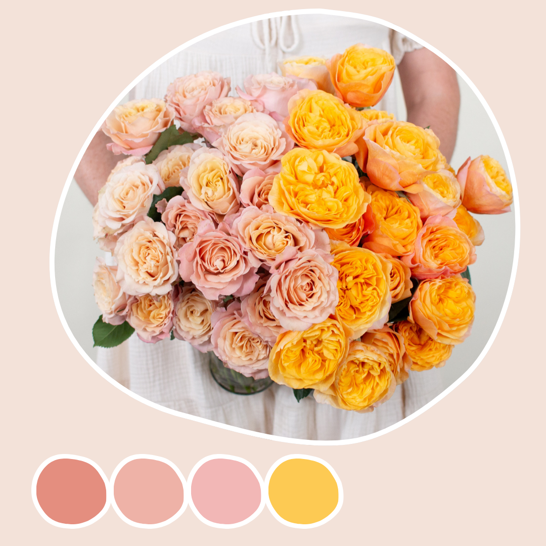 Sahara and King's Cross Garden Roses Mixed Box | Flower Moxie Bulk Flowers