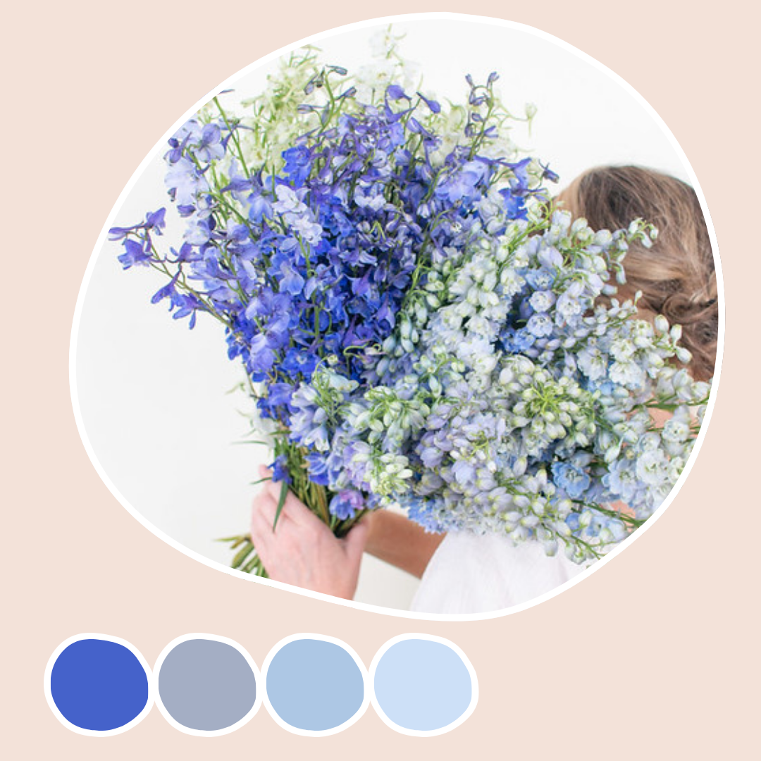 Delphinium Mixed Box | Flower Moxie Bulk Flowers