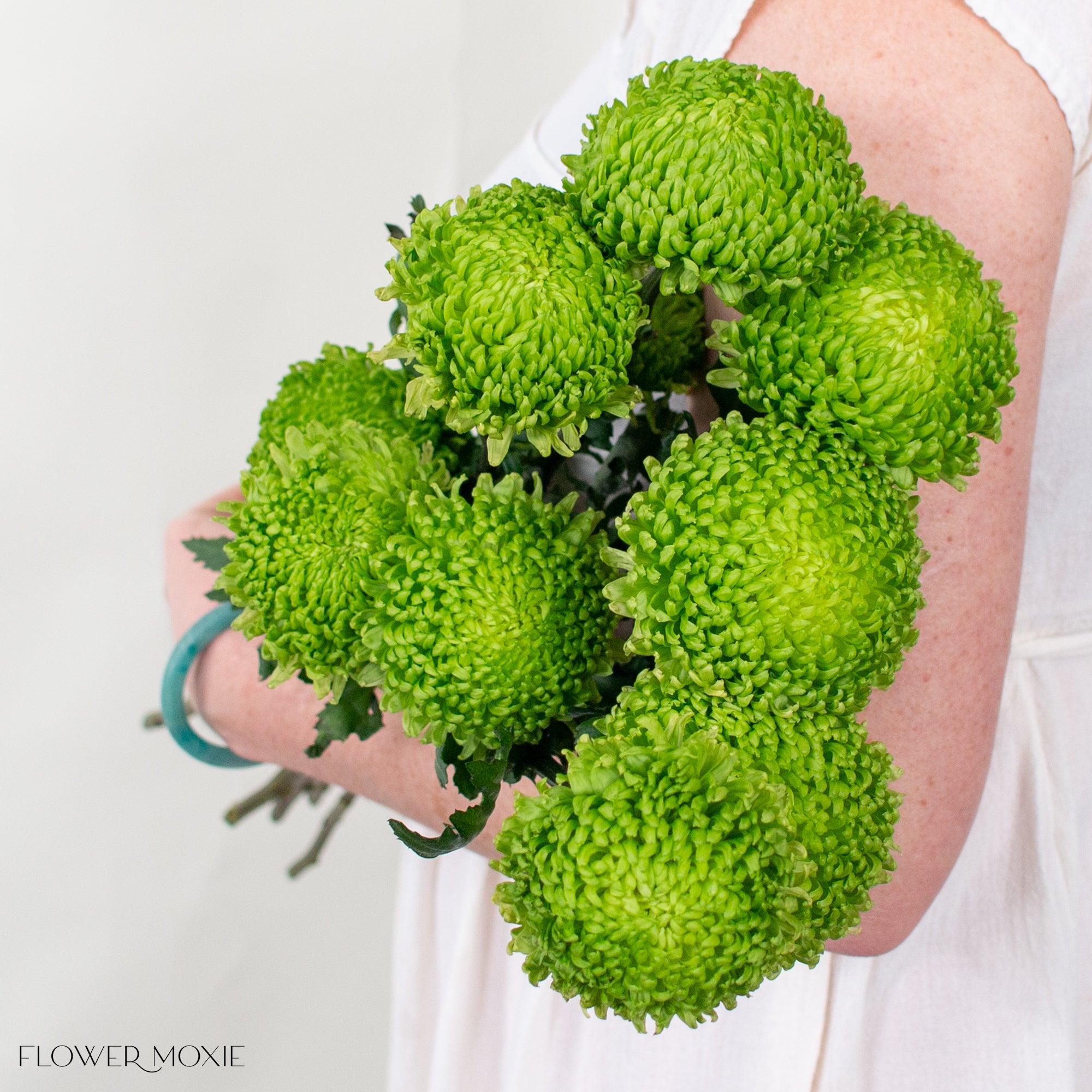 Green Cremone Flower | DIY Wedding Flowers | Flower Moxie