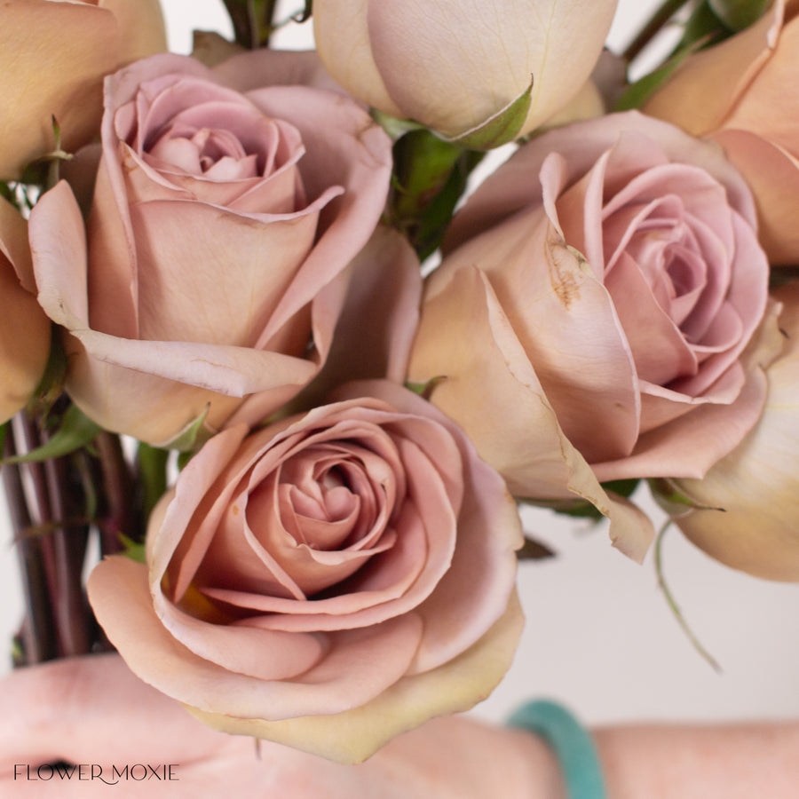 Amnesia Lavender Roses | DIY Wedding Flowers | Flower Moxie