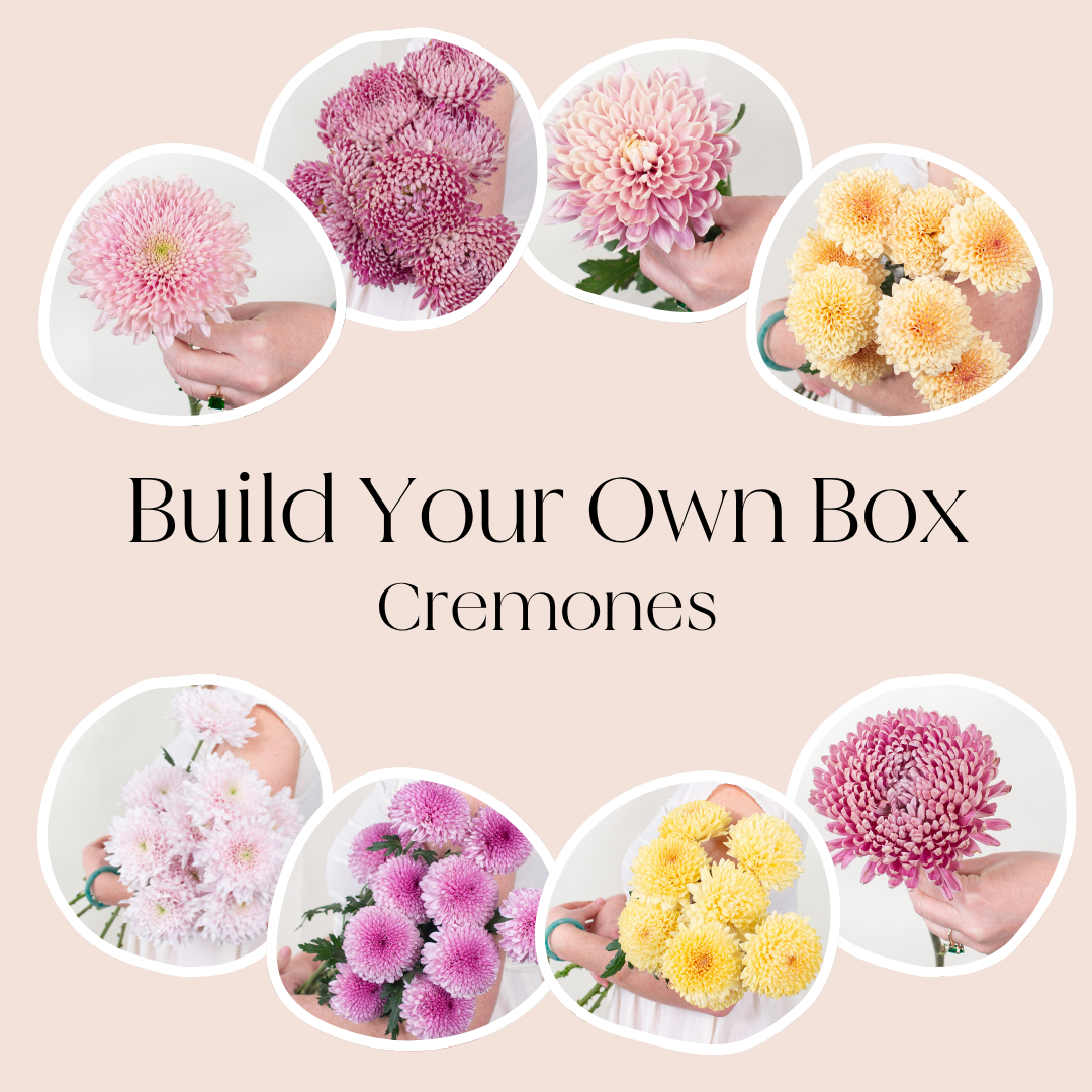 Build Your Own Cremone Mixed Box – Flower Moxie
