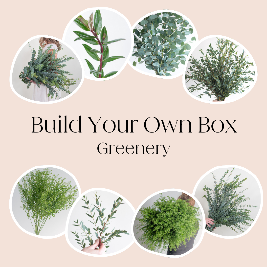 Build Your Own Greenery Mixed Box – Flower Moxie