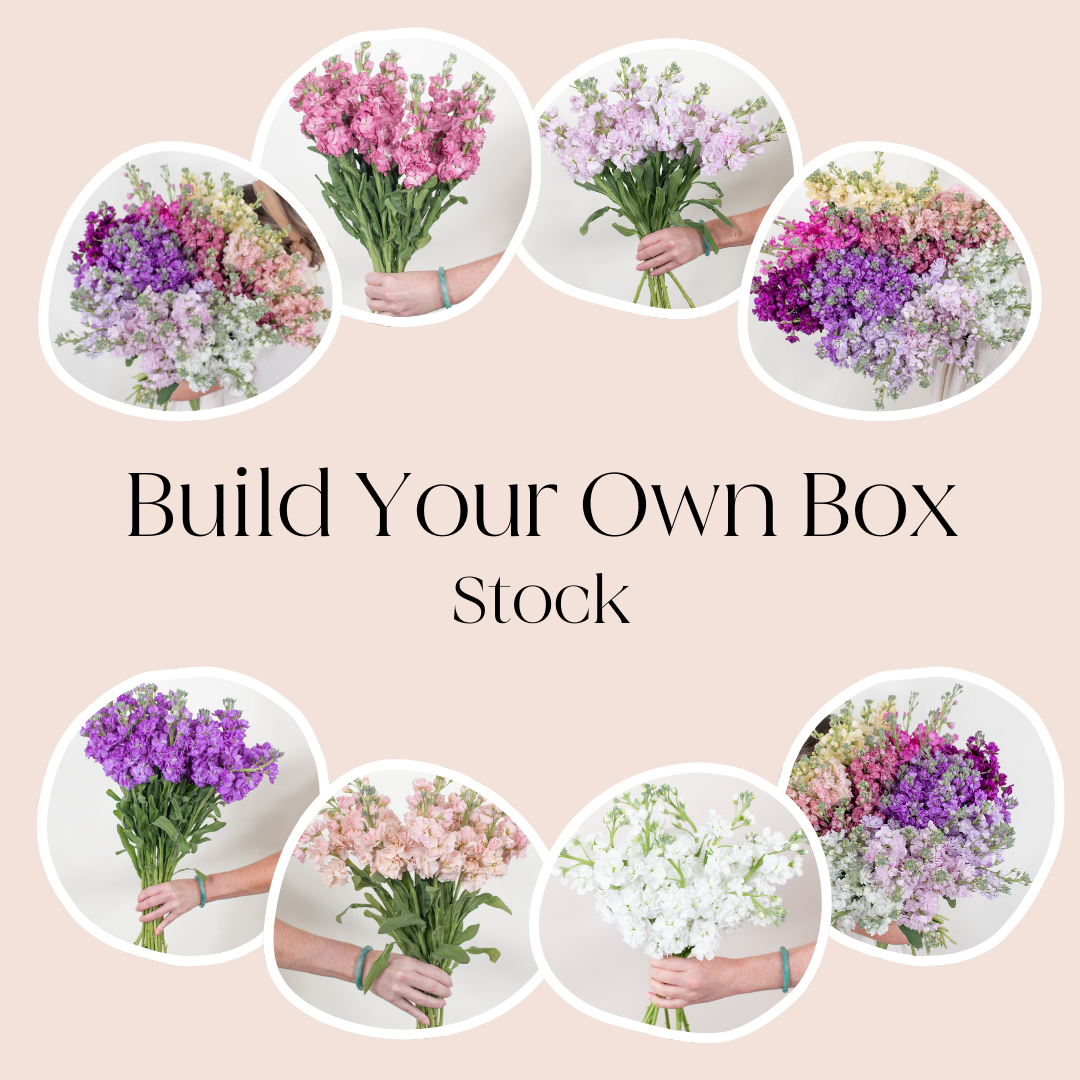 Build Your Own Stock Mixed Box – Flower Moxie