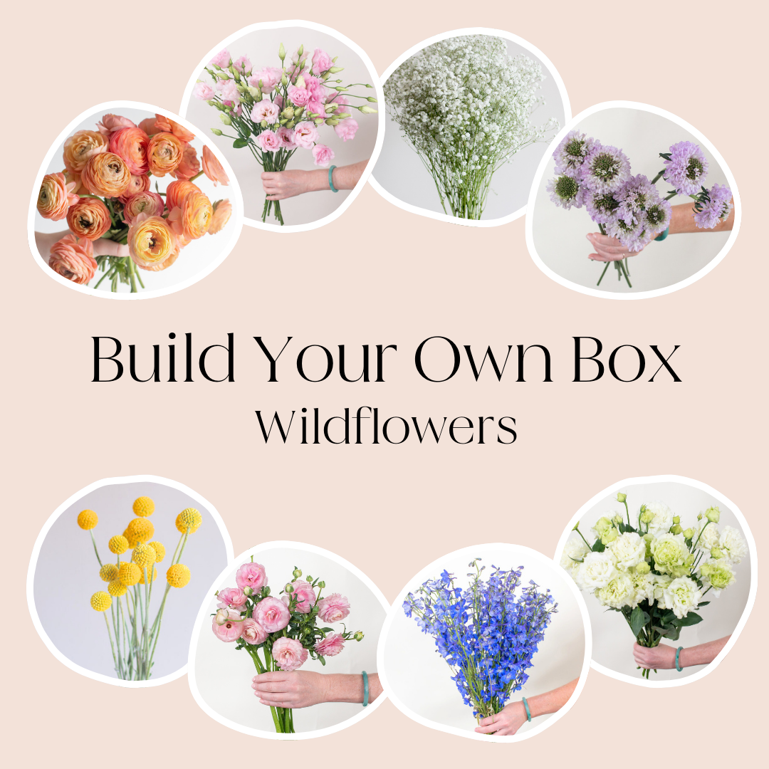 Build Your Own Wildflower Mixed Box – Flower Moxie