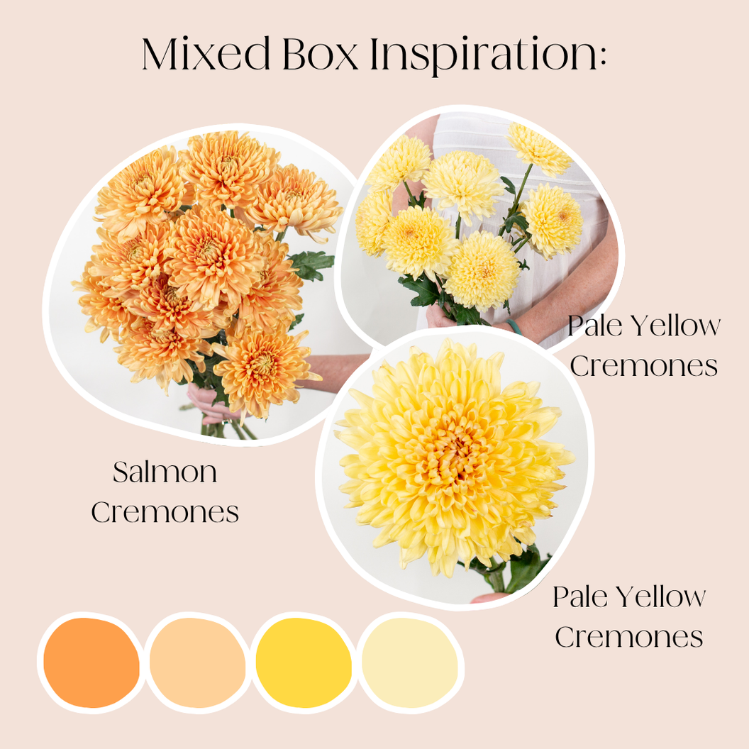 Cremone Flowers | DIY Wedding Flowers | Flower Moxie