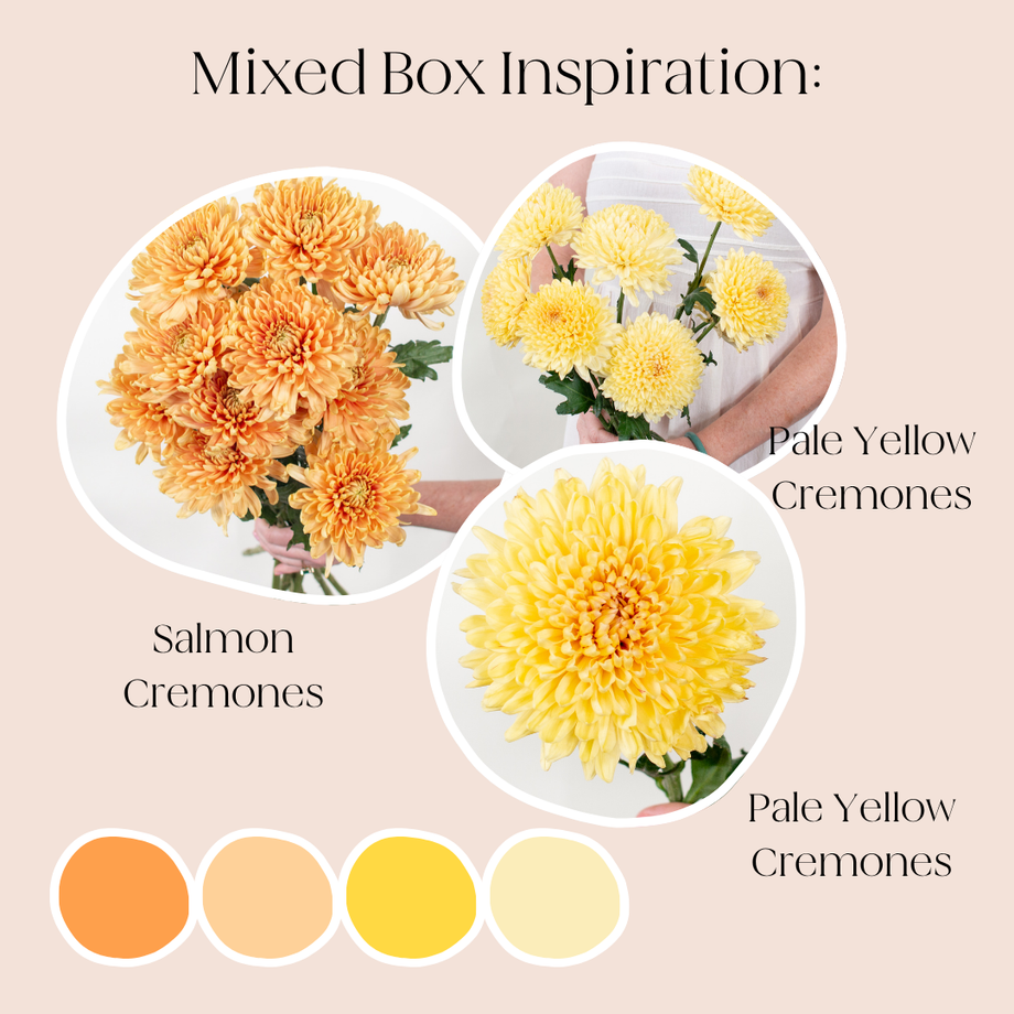 Cremone Flowers | DIY Wedding Flowers | Flower Moxie
