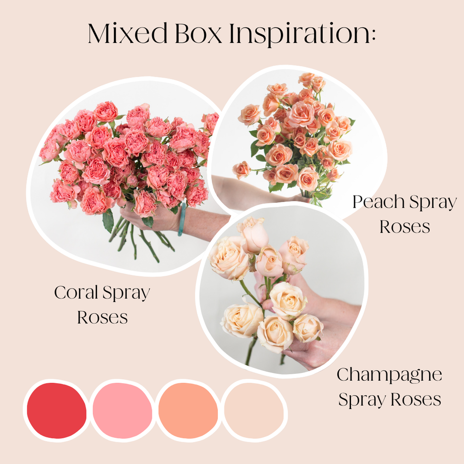 Spray Roses | Bulk Fresh Spray Roses Online – Flower Moxie