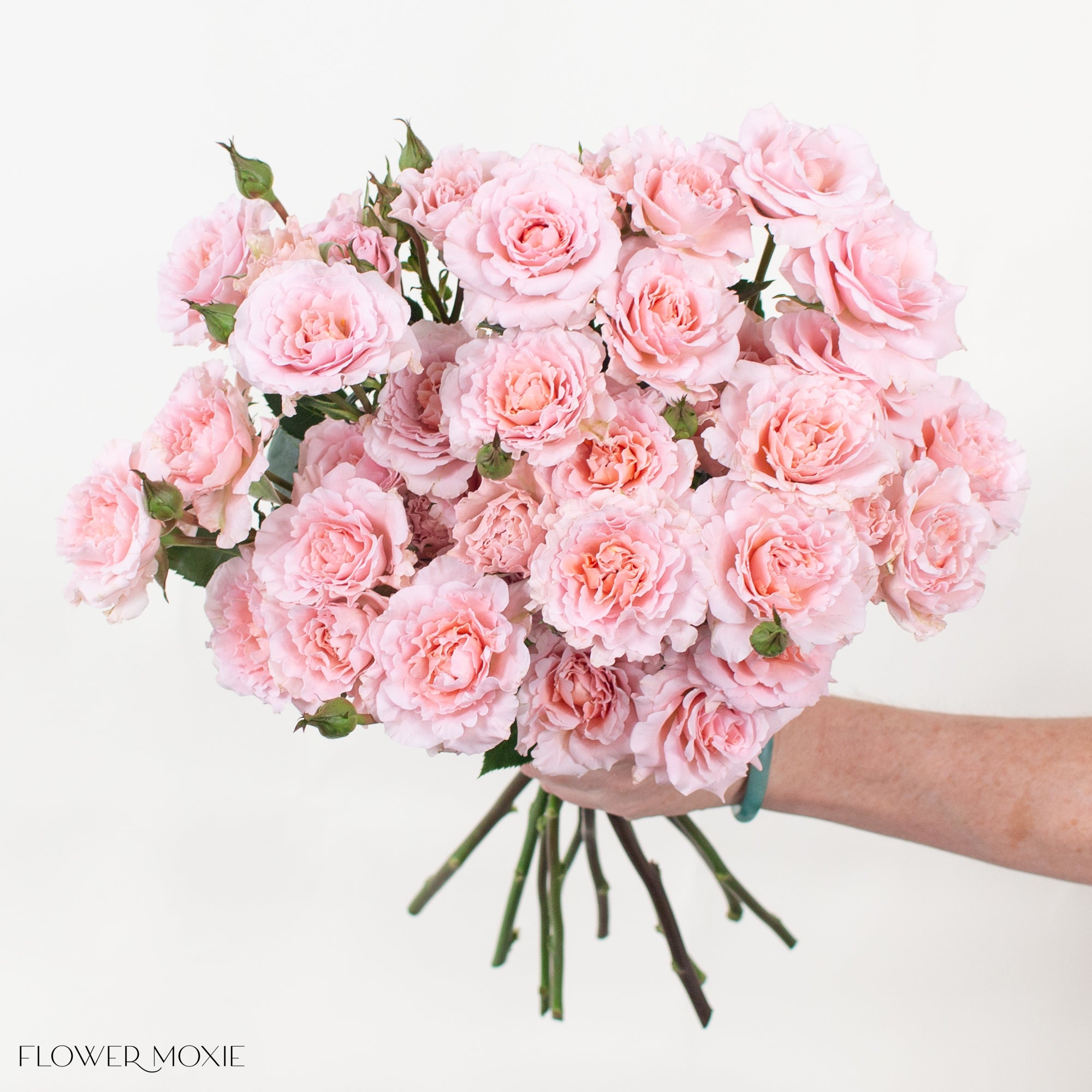 Peachy Pink Spray Roses | DIY Flowers from Flower Moxie with Free Shipping