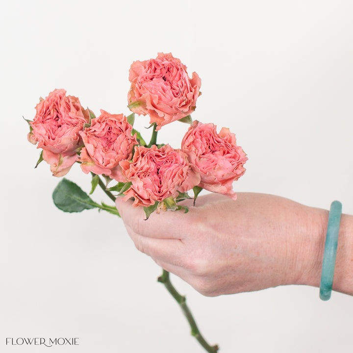Coral Spray Rose Flower | DIY Wedding Flowers | Flower Moxie