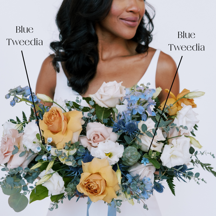 Blue Tweedia Flower | DIY Wedding Flowers | Flower Moxie